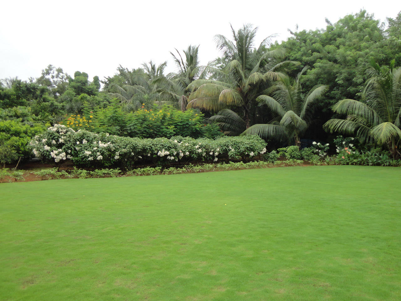 Landscape Consultancy in Mumbai | GreenScope - Dr. Gaidhane